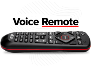 DISH Network Satellite TV & Internet Packages